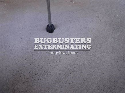Bugbusters in Action | Bugbusters Exterminating