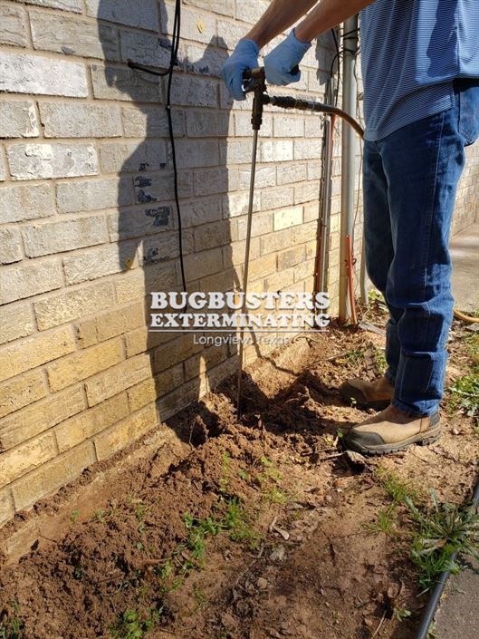 Bugbusters in Action | Bugbusters Exterminating